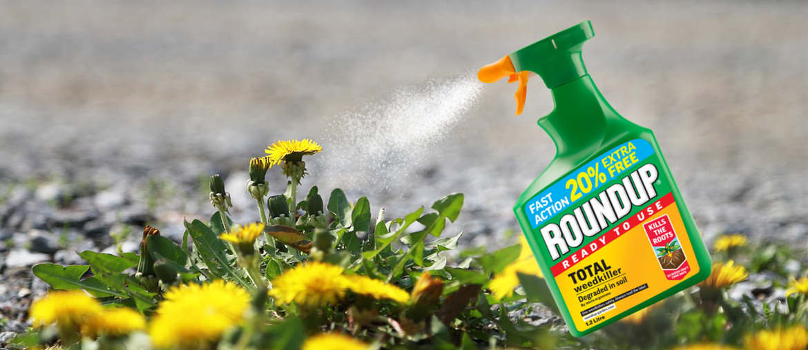 How to Safely and Effectively Use Weed Killer | BS Fixings